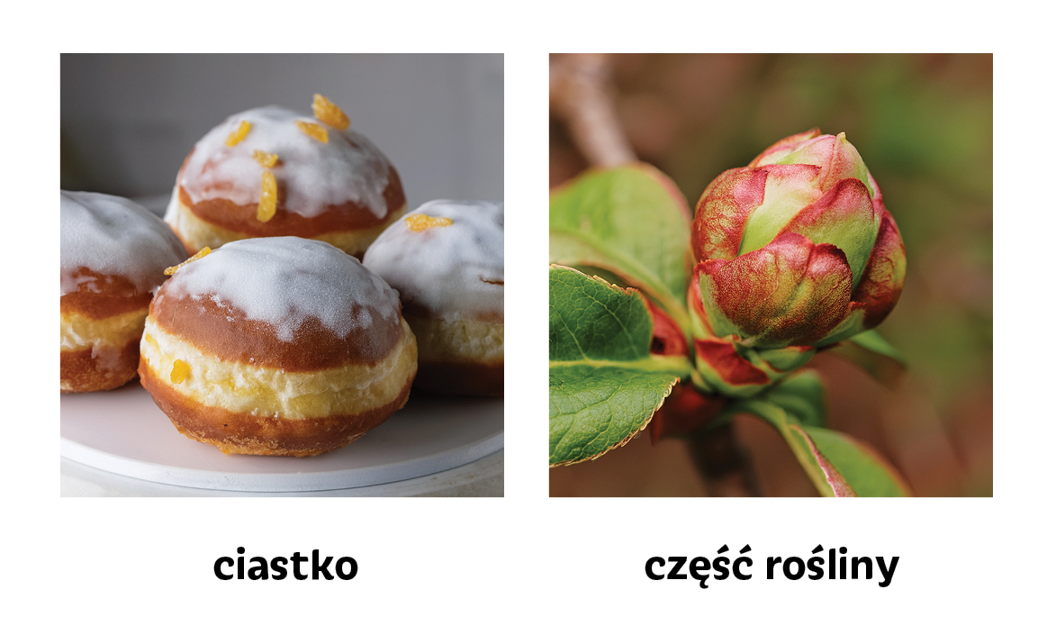 paczki-wieloznacznosc – Polski na wynos